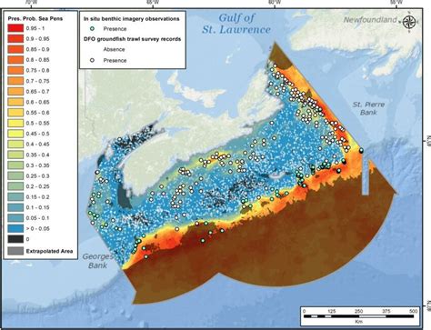 Areas Of Extrapolation Of A Random Forest Model On Unbalanced Presence