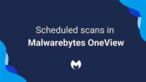 Set Scheduled Scans In Malwarebytes OneView YouTube