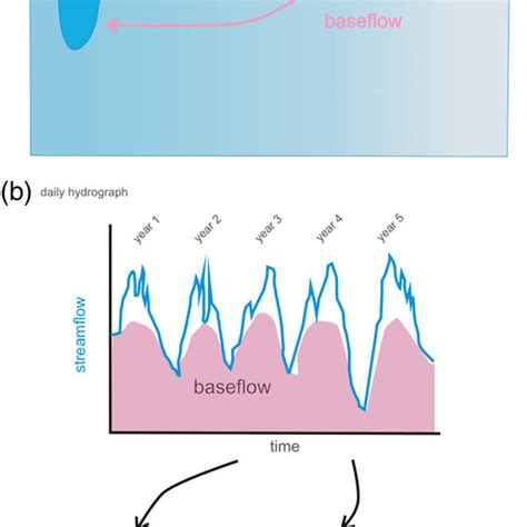 A Baseflow Is The Streamflow Contribution From Groundwater That Download Scientific Diagram