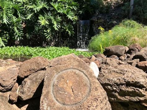 Waianae Coast Comprehensive Adds Gardens And Walking Trails To Draw