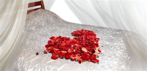 Seks U Islamu Android App