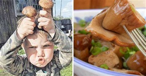 რატომაა აუცილებელი სოკოს დამატება რაციონში და რა სასარგებლო თვისებებს ფლობს იგი სასარგებლო რჩევები