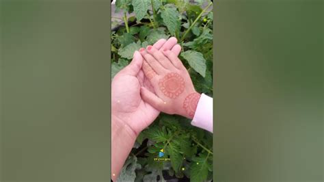 আল্লাহ অহংকার পছন্দ করে না Youtube