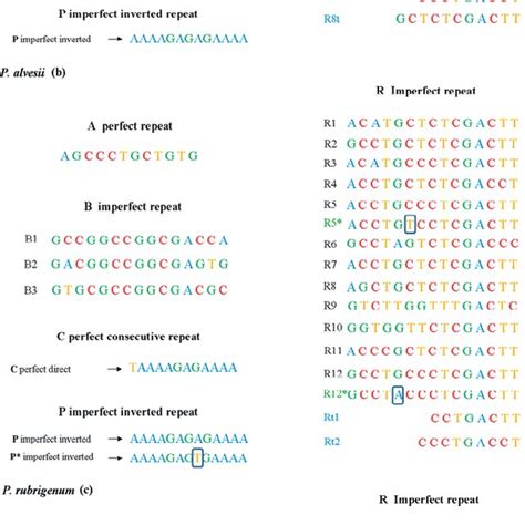 Dna Short Repeat Elements A B C P And R And Their Variants Observed