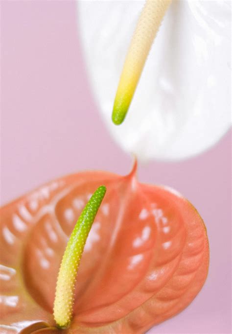 A Sex Educator Shares Her Best Foreplay Ideas