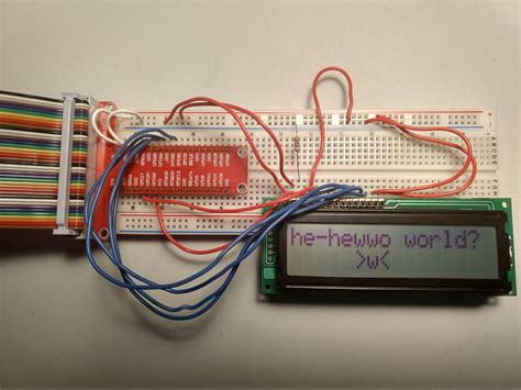 Rasppi Irl R Furry Irl