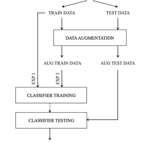 Experimental Flowchart Download Scientific Diagram