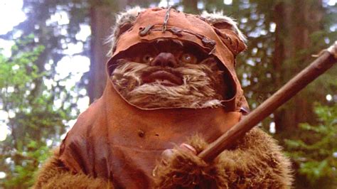 Star Wars What Happened To Wicket The Ewok After Return Of The Jedi