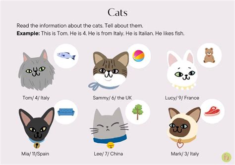 Grammar Activity “summer If I…” Уроки английского Грамматические упражнения Обучение