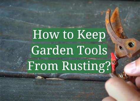 How To Keep Garden Tools From Rusting GardenProfy