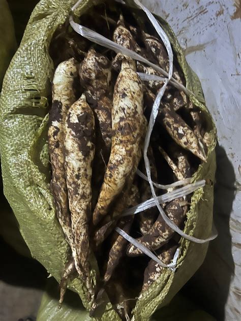 ကုန်စိမ်း အရောင်းအဝယ် Rတာလွတ် ကိတ်ကိတ် Facebook