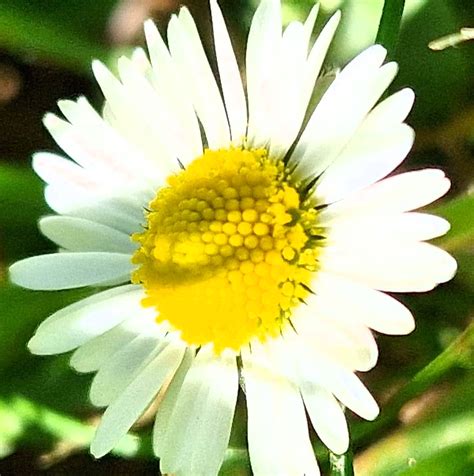 Transforming Images With Opencv And Java Filter Effects Made Easy