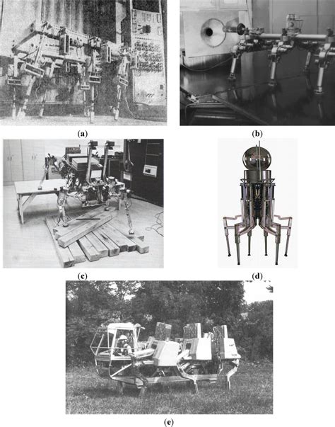Robotics Special Issue Advances In Biomimetic Robotics