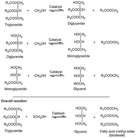 Biodiesel Production From Vegetable Oil