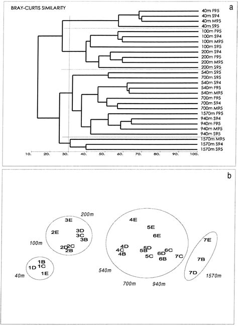 Similarity Dendrogram A And Ordination By Multidimensional Scaling Download Scientific