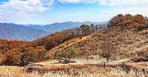 여행honey 은빛 억새의 물결포천 명성산