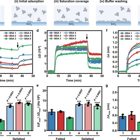 Application Performance Of Bsa Based Antifouling Coatings On Surfaces Download Scientific