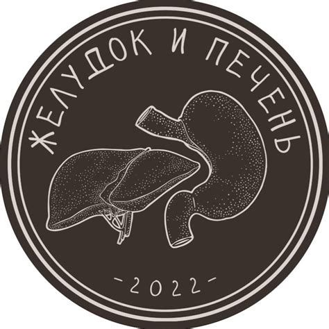 Желудок и Печень Youtube