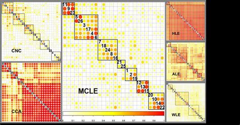 Cluster Visualization Of The Correlation Matrix Constructed Via Mcle