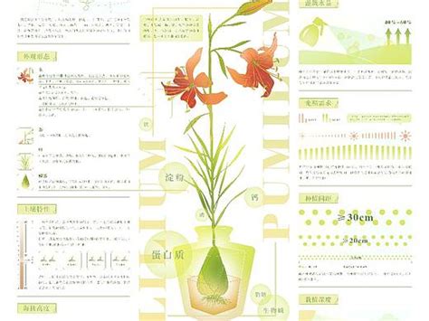 信息可视化设计案例 创意设计作品图片素材 站酷zcool