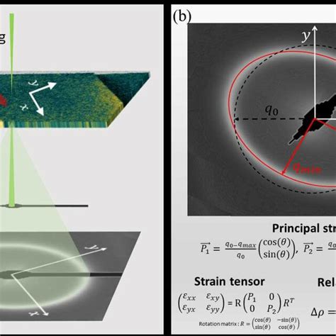Schematic Illustration Of 4d Stem Based Strain And Density Mapping A Download Scientific