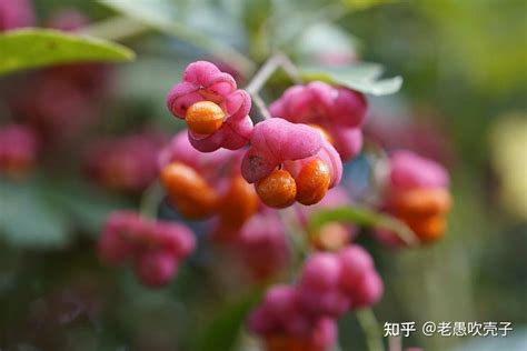 分房睡，是无奈还是明智选择？一位中年女人说出了真实的心声 知乎