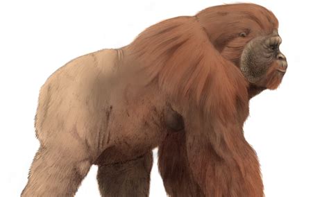 Gigantopithecus Blacki