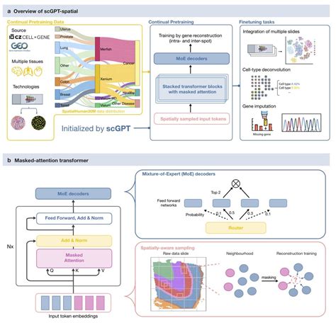 New Scgpt Spatial Model Enhances Spatial Transcriptomics With 30 Million Cell Dataset And