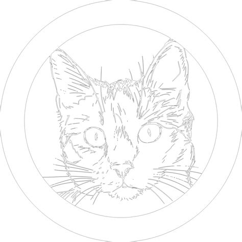 Engrave And Cut Same Object LightBurn Software Questions LightBurn Software Forum