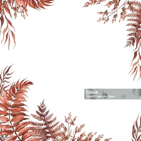 흰색 배경에 숲 고사리 잎이 있는 정사각형 프레임입니다 가을에 대한 스톡 벡터 아트 및 기타 이미지 가을 갈색 경관 Istock