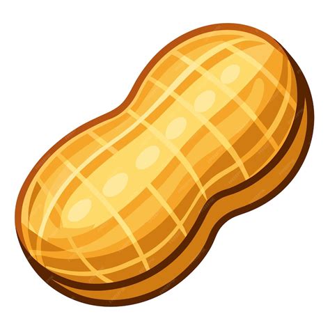 Peanut Clipart Vector Art And Illustration Premium Ai Generated Vector