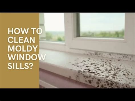 How To Clean Moldy Window Sills Bondcleaning Sydney