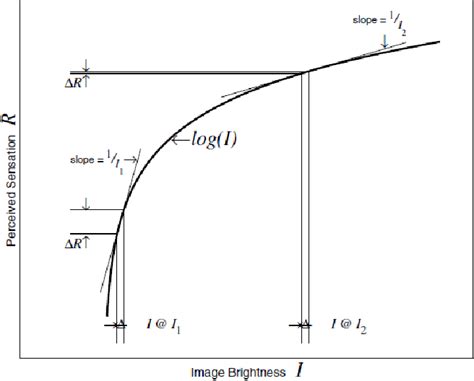 Compressive Logarithmic Mapping Emphasizes Changes At Low Stimulus Download Scientific Diagram