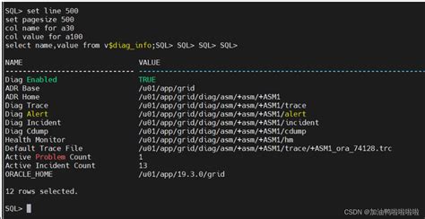 oracle 19c rac集群管理 日志管理 oracle19c日志文件路径 csdn博客