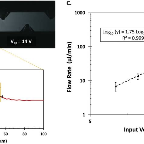 A Conceptual Illustration Of The Acoustic Streaming And The Resultant