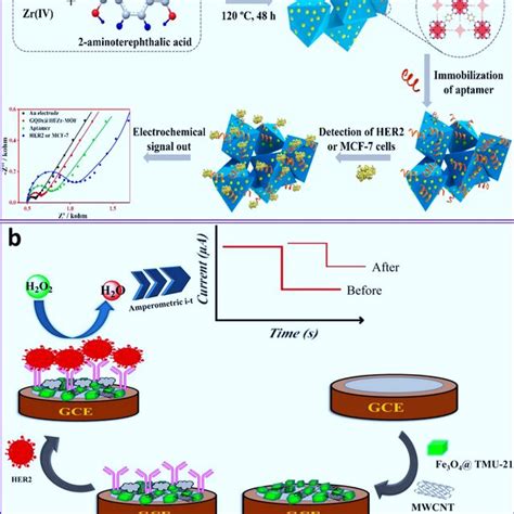 A Schematic Illustration Of The Synthesis Of Cds Zrhf Mof Based Download Scientific Diagram