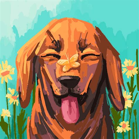 Brace Mitchell Youtube