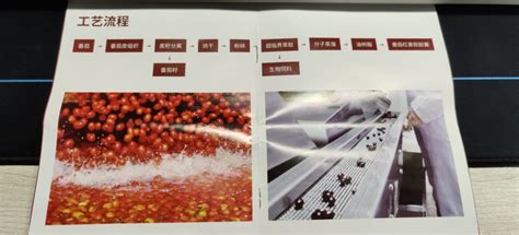 How To Extract Lycopene By Supercritical Fluid Extraction