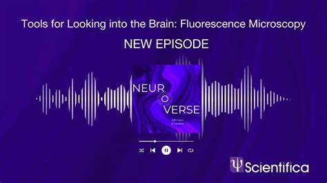 Scientifica On Linkedin Microscopy Neuroscience Podcast
