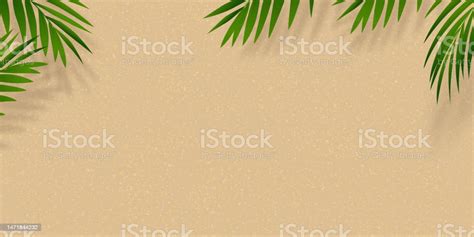 야자수 잎과 그림자가 있는 모래 해변 질감 배경 벡터 일러스트 레이 션 플랫 레이 탑 뷰 열대 여름 해변 복사 공간이 있는 갈색