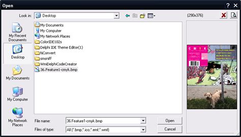 Delphi Adding A Button To Topenpicturedialog Stack Overflow