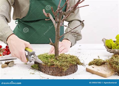 Woman Shows How To Make Easter Decoration In Tree Shape With Hanging