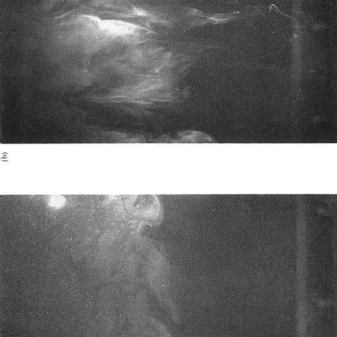 Pdf Turbulent Mixing In A Rotating Stratified Fluid
