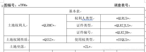使用docxmailmerge库将access的数据批量定制生成word文档docx Mailmerge Csdn博客
