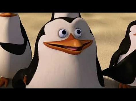 Los Pingüinos De Madagascar Cabo Talvez No Sobreviva Youtube