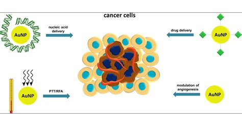 Aggregated Gold Nanoparticle Conjugates For Multimodal 56 Off