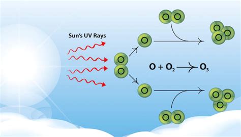 Ozone Layer Depletion Causes Effects And Preventions 56 Off