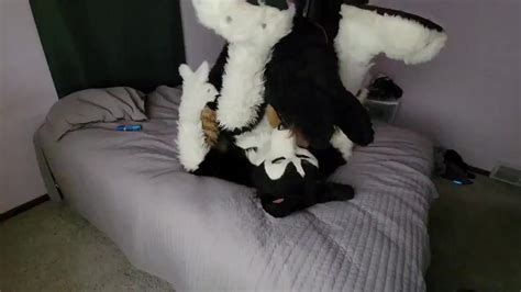 Doberman Fucks Husky