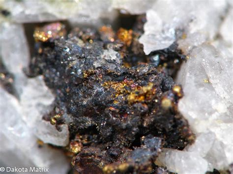 Gold Mineral Specimen For Sale